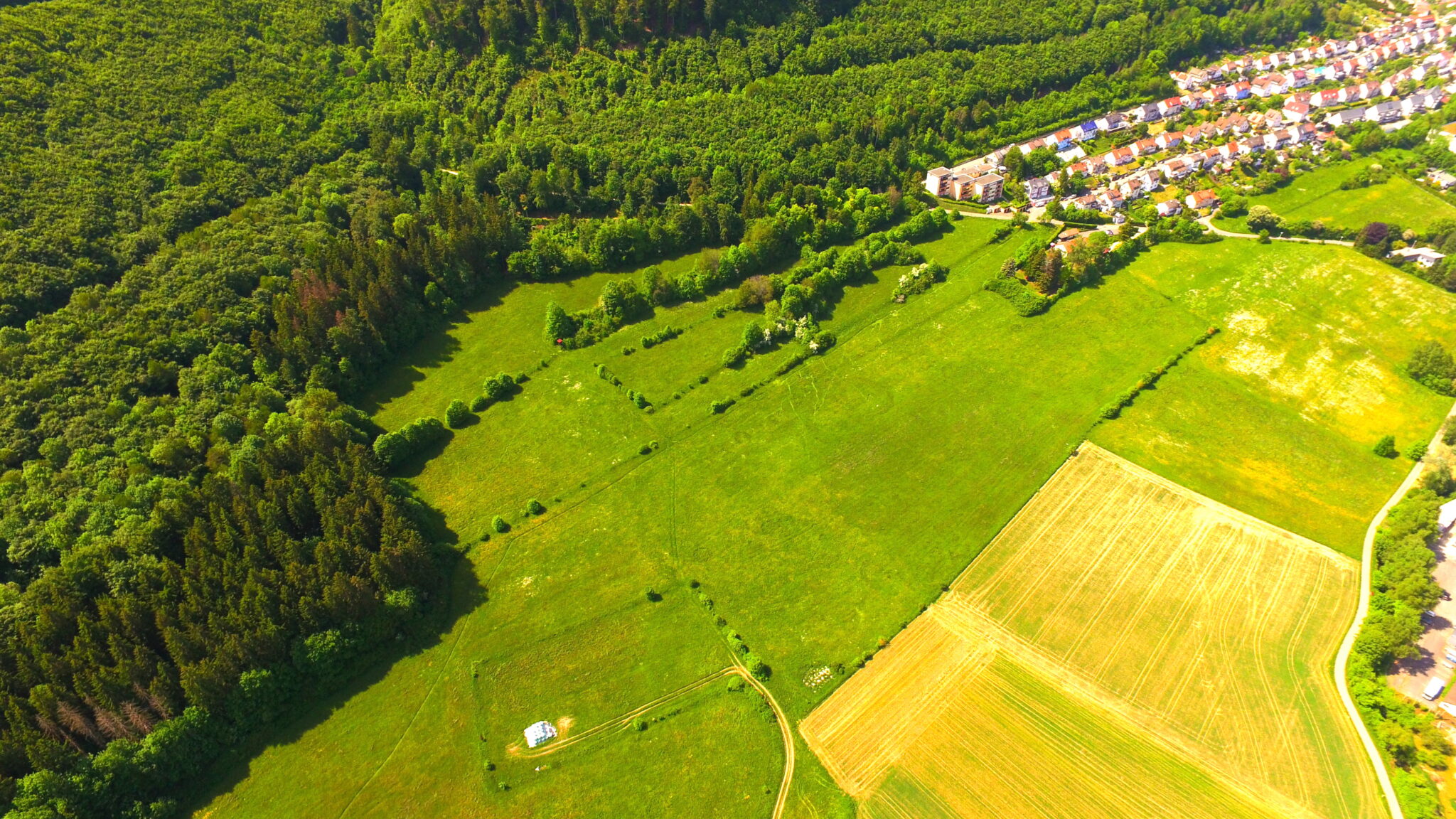 Brunnenhalde (Oberkochen) – DHC Aalen e.V.