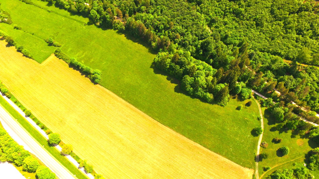 Rodstein (Oberkochen) – DHC Aalen e.V.